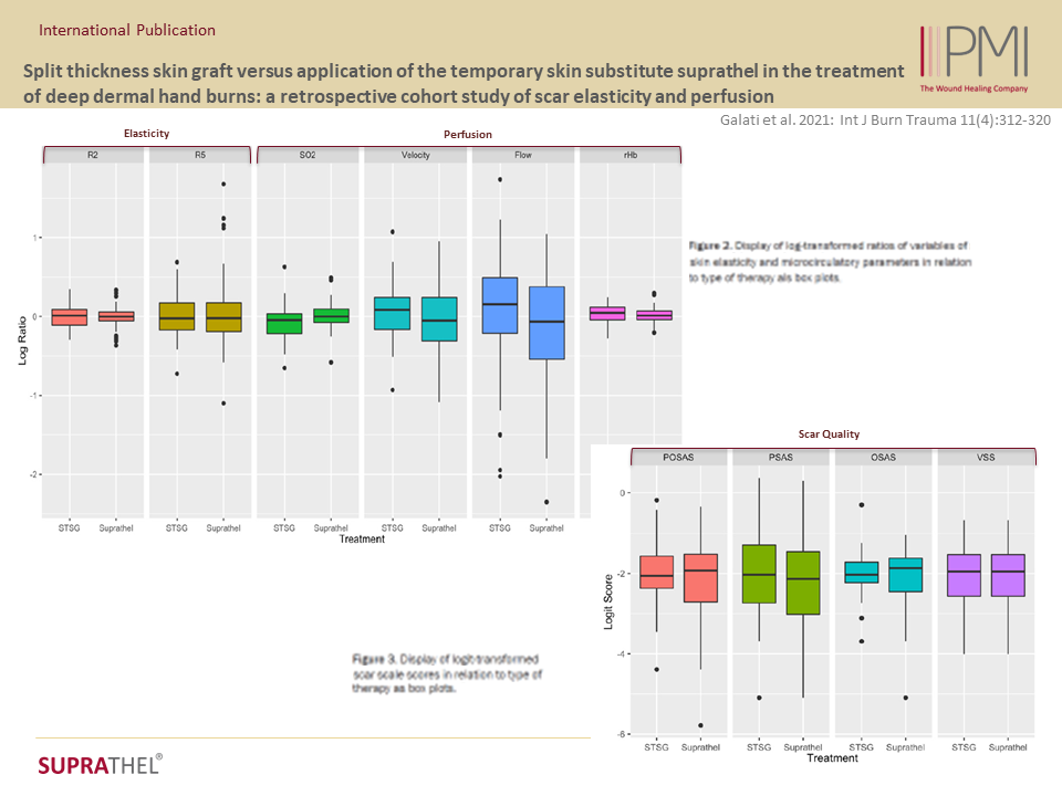2. Medical Compendium – Deep Dermal Burns overview – Polymedics